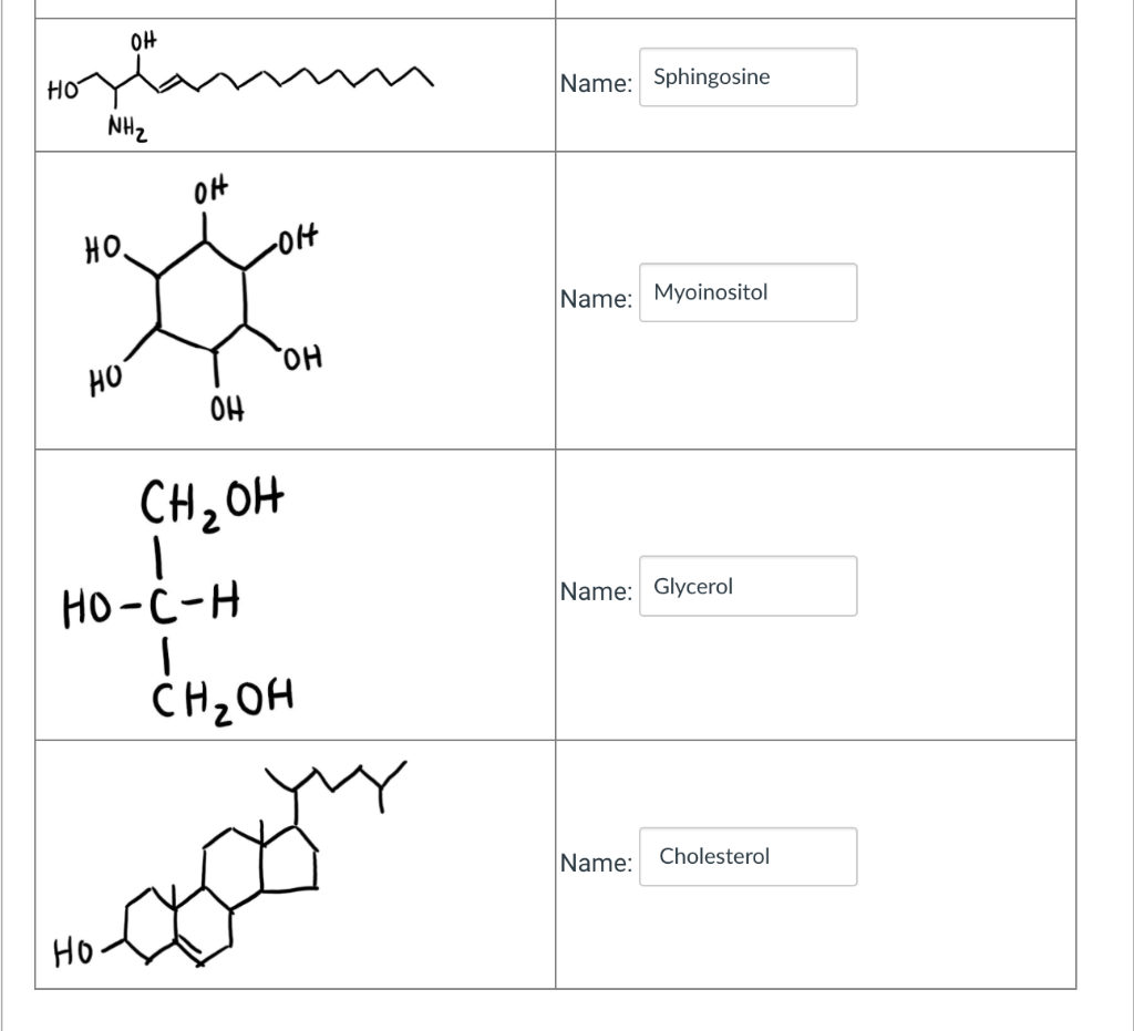 Solved Naming Molecules Name the following molecules. Give | Chegg.com