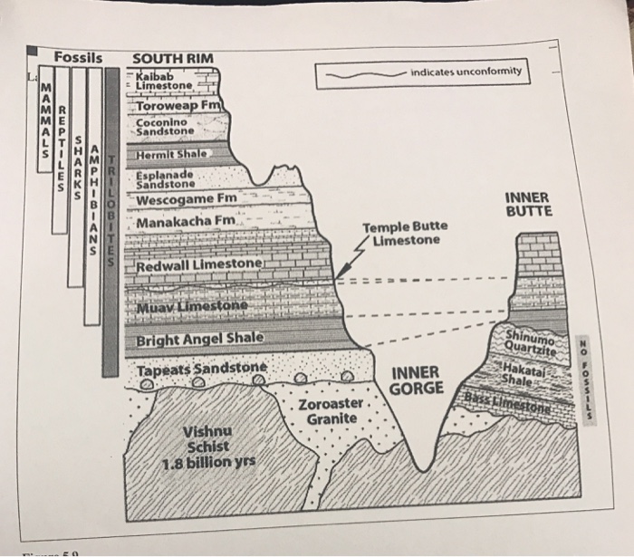Solved e Geologic Time Scale (Figure 5.2),fill in the table | Chegg.com