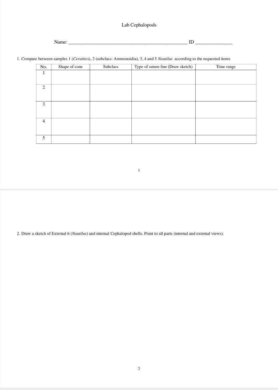 Solved Animations Slide Show Review View Help 3 Share A A A | Chegg.com