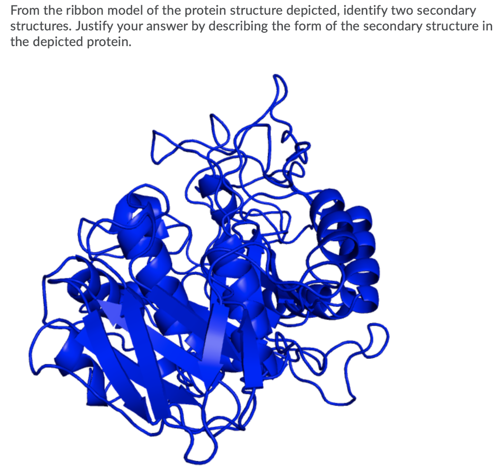 Solved From the ribbon model of the protein structure | Chegg.com