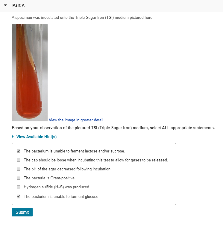 Solved Part A A specimen was inoculated onto the Triple | Chegg.com