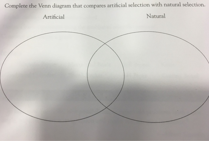 Solved Complete the Venn diagram that compares artificial | Chegg.com
