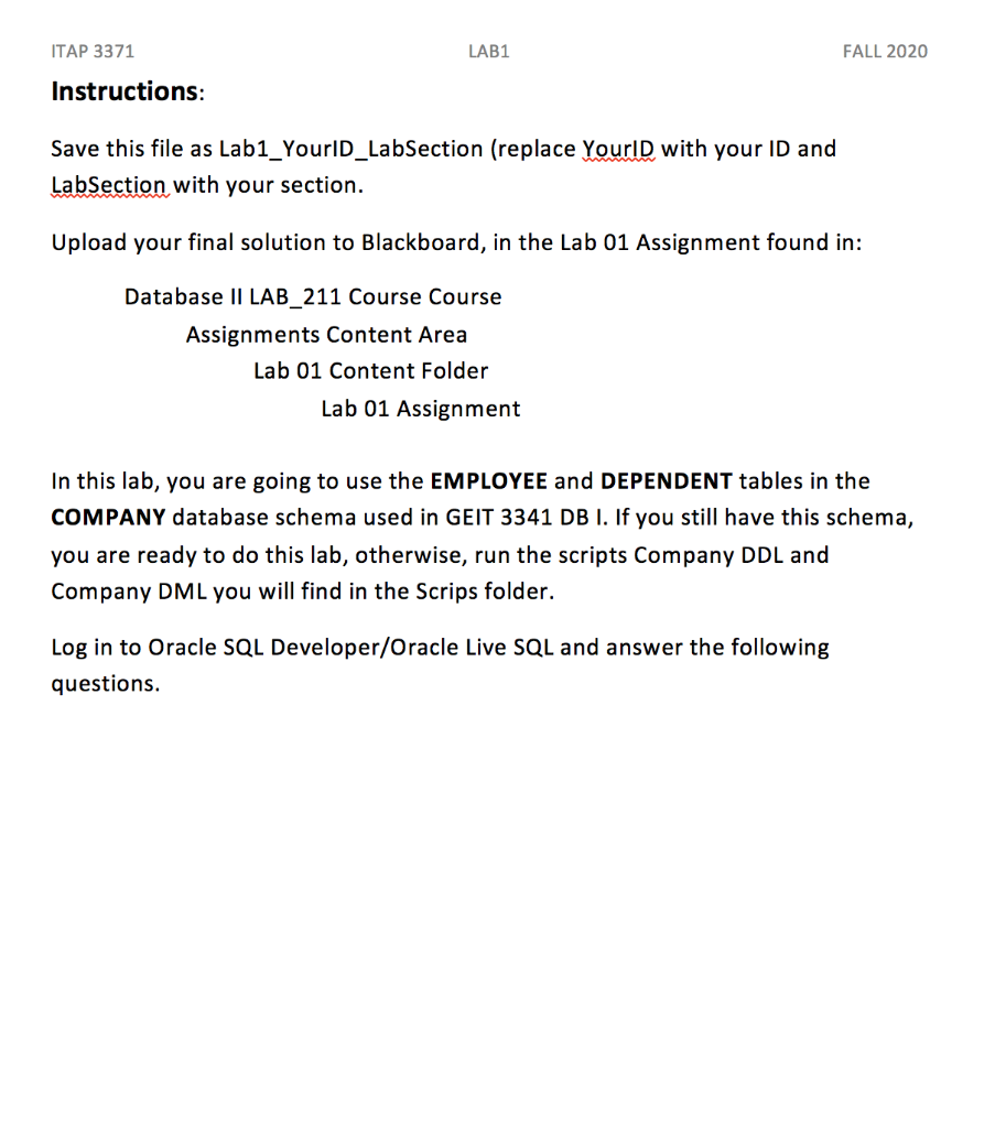 Solved ITAP 3371 LAB1 FALL 2020 Instructions: Save this file | Chegg.com