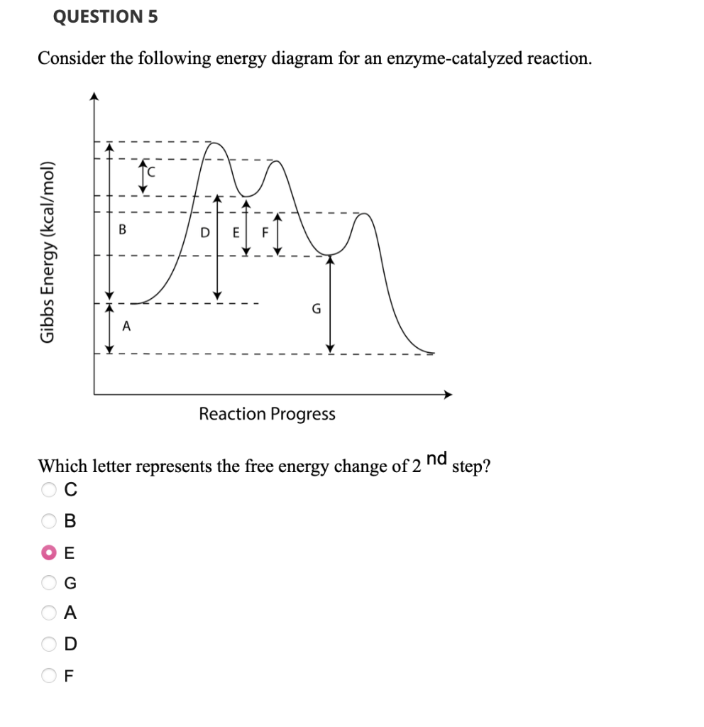 Solved Consider the following energy diagram for an | Chegg.com
