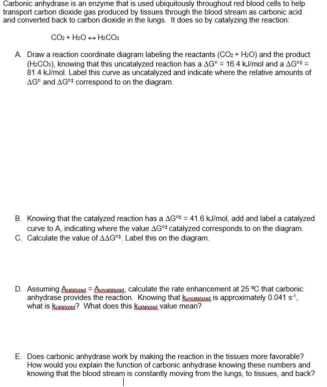 Solved Carbonic anhydrase is an enzyme that is used | Chegg.com