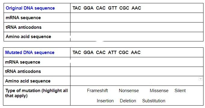 Solved TAC GGA CAC GTT CGC AAC Original DNA sequence mRNA | Chegg.com