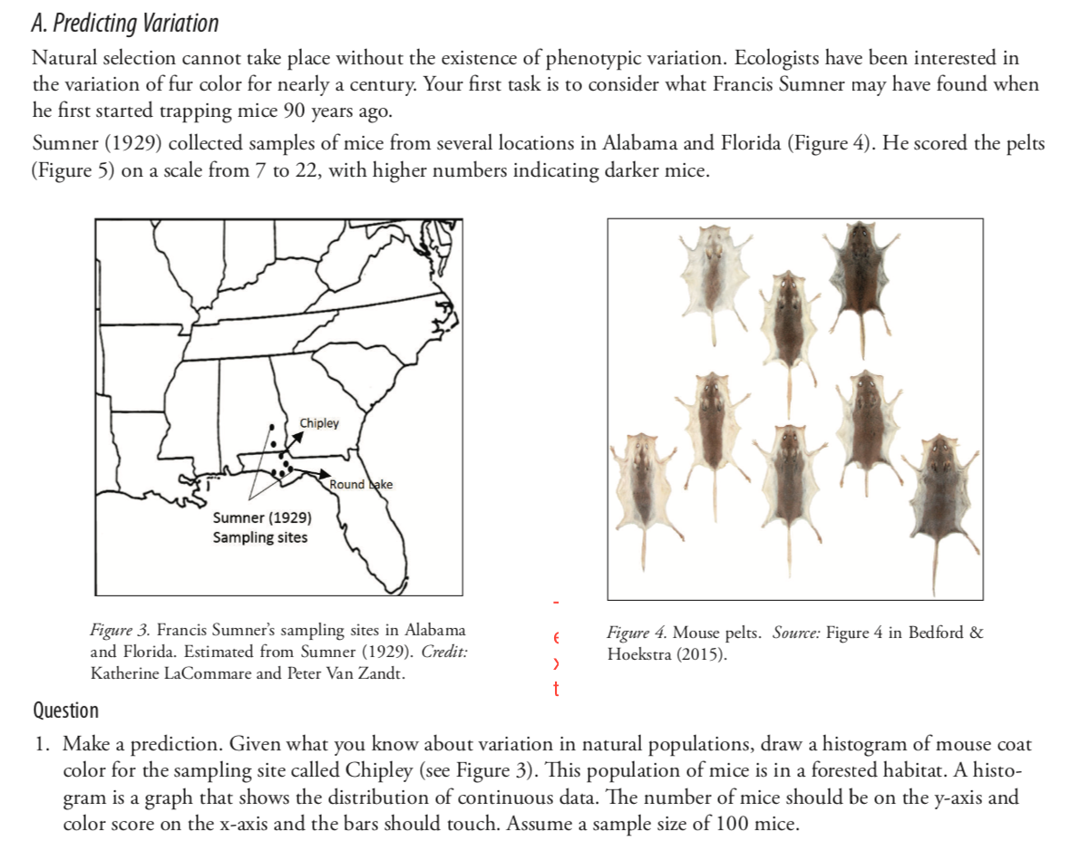 Solved A. Predicting Variation Natural selection cannot take | Chegg.com