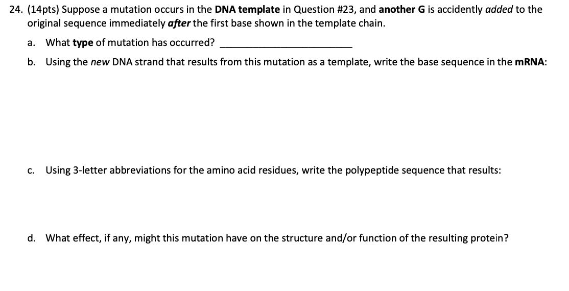 Solved 24. (14pts) Suppose a mutation occurs in the DNA | Chegg.com
