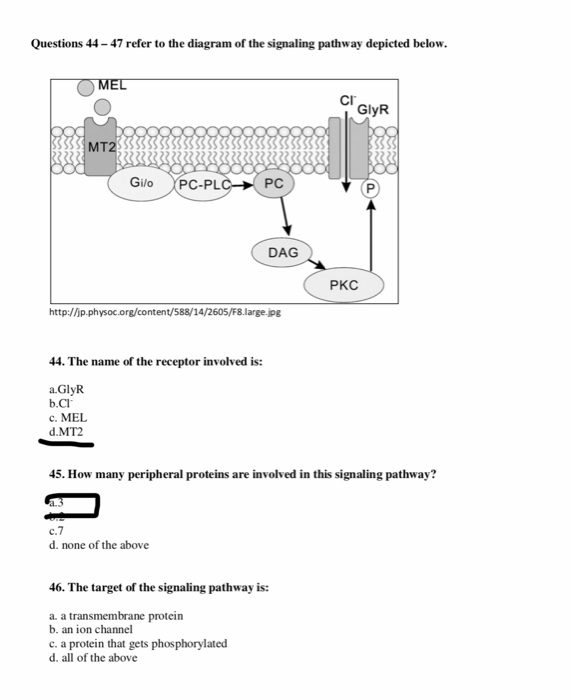 Solved Questions 44-47 refer to the diagram of the signaling | Chegg.com