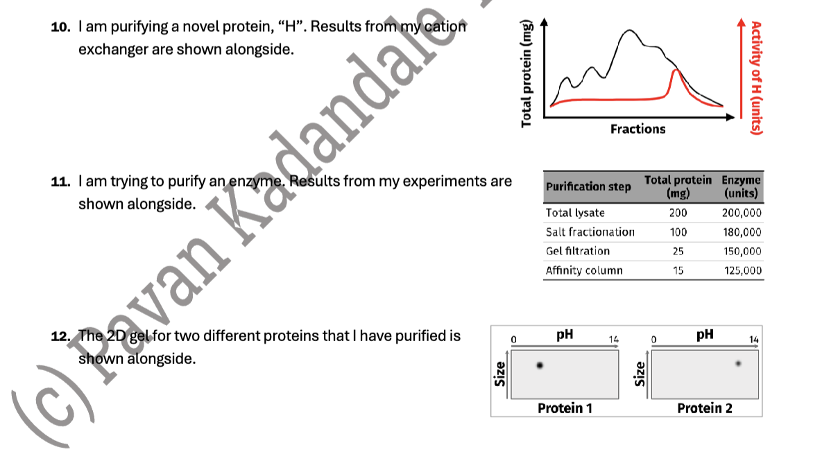 Solved I am purifying a novel protein, " H ". ﻿Results from | Chegg.com