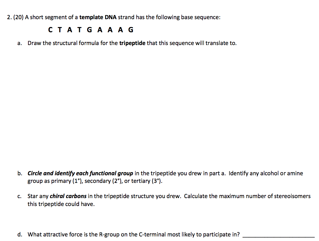 Solved 2. (20) A short segment of a template DNA strand has | Chegg.com