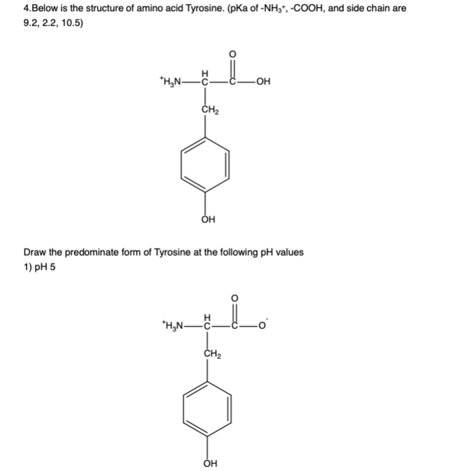 Tyrosine Amino Acid Structure