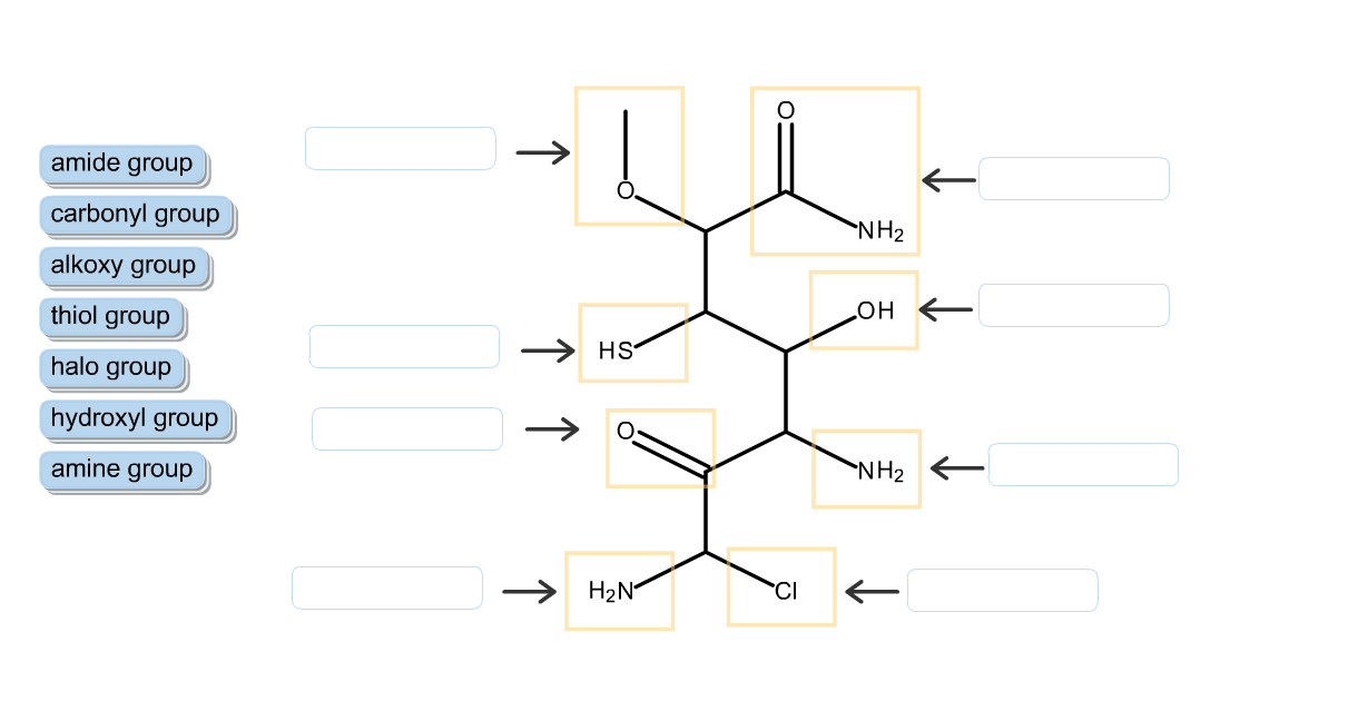 Solved amide group carbonyl group N H2 alkoxy group он — | Chegg.com