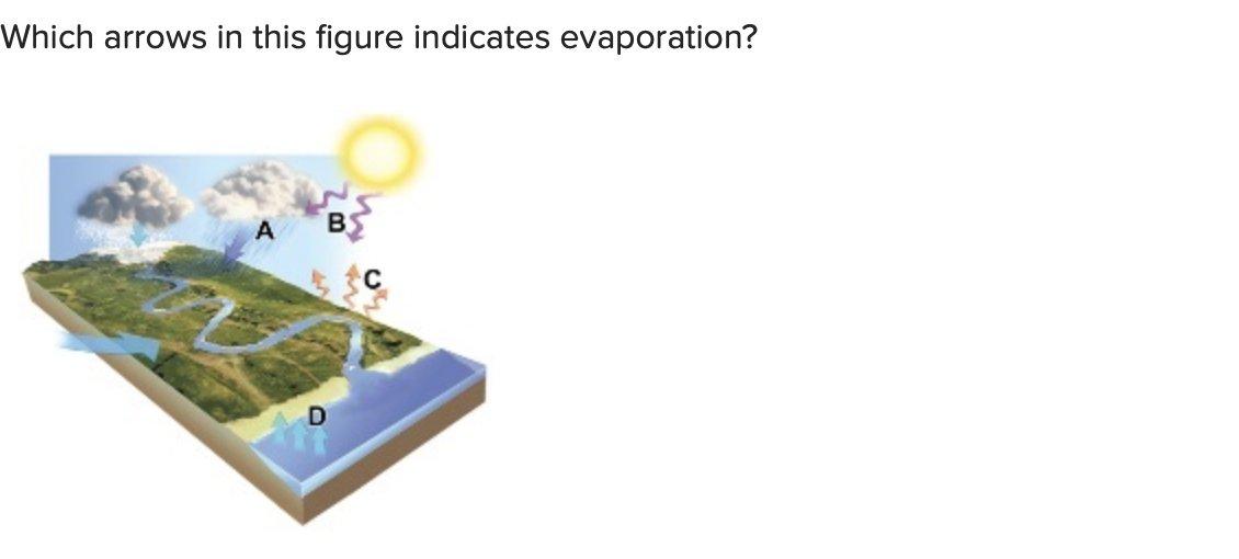 Solved Which arrows in this figure indicates evaporation? | Chegg.com