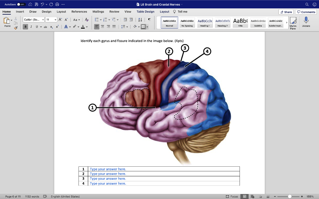 Solved AutoSave OF AA 2@ ... @ LG Brain and Cranial Nerves | Chegg.com