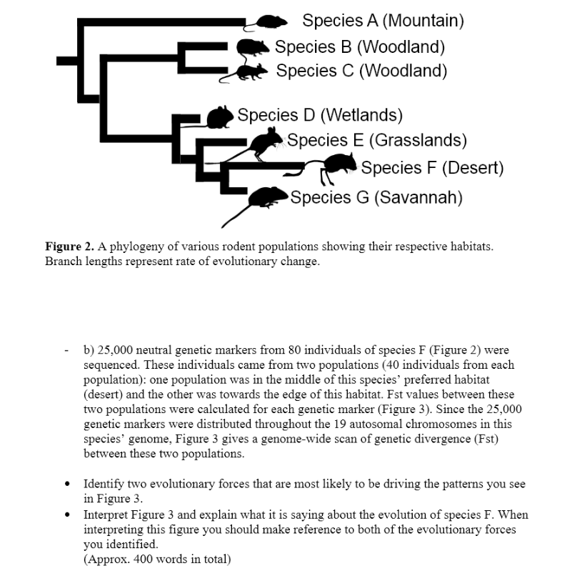 Figure 2. A phylogeny of various rodent populations | Chegg.com