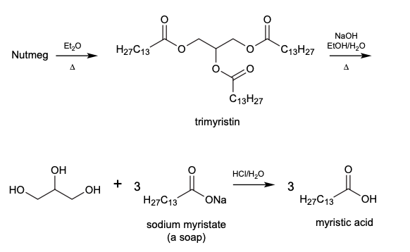 Solved Soap made from nutmeg... Experimental Procedure | Chegg.com