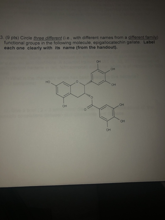 Solved Circle Three different functional groups in the | Chegg.com