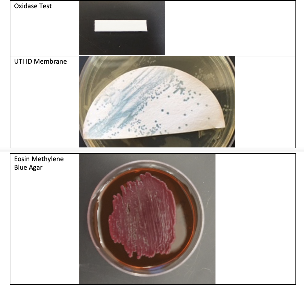incorporate a table which includes the result, what | Chegg.com