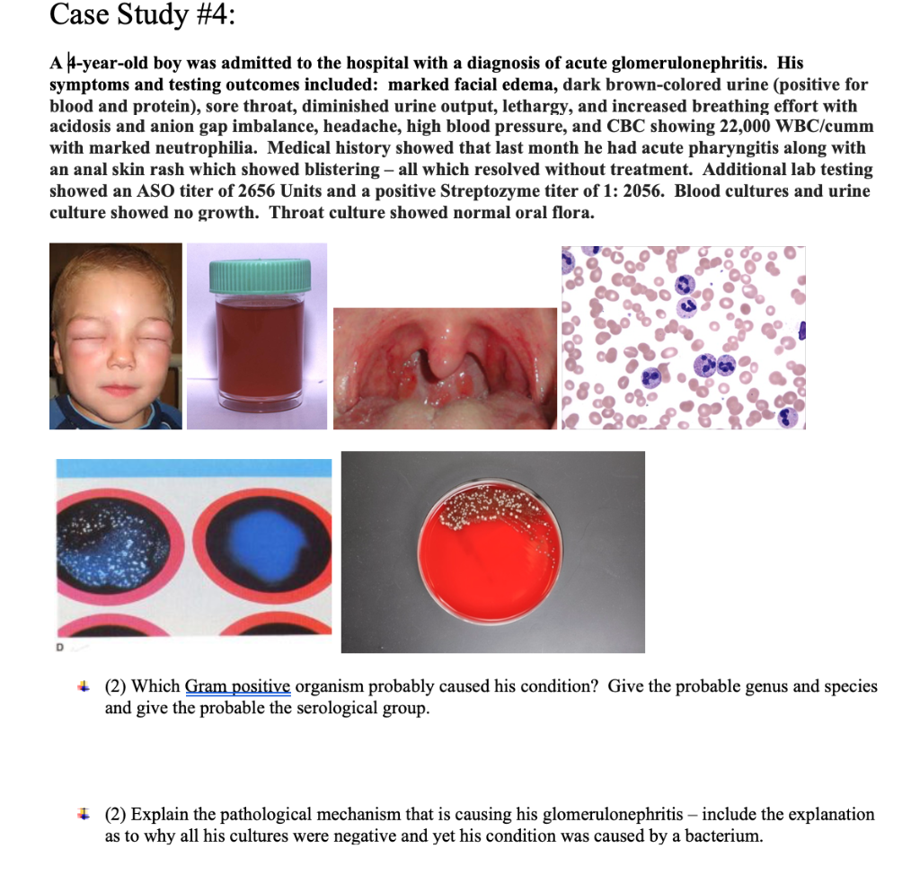 Solved Microbiology/ Clinical Microbiology - Gram-Positive | Chegg.com