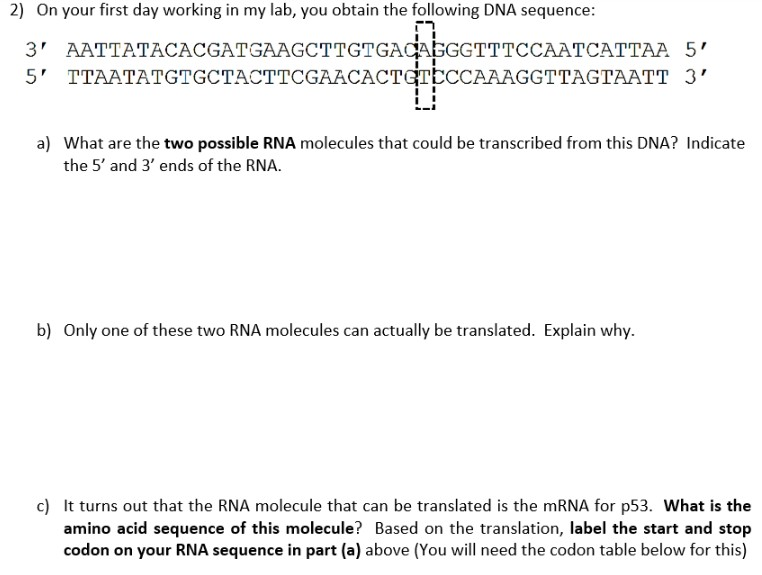 Solved 2) On your first day working in my lab, you obtain | Chegg.com