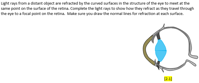 Solved Light rays from a distant object are refracted by the | Chegg.com