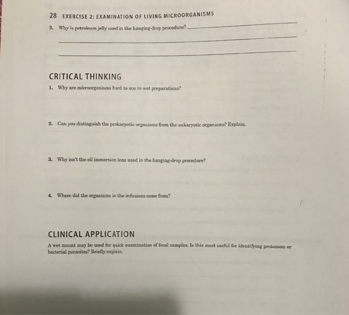 Name: Date Lab Section LABORATORY REPORT Examination | Chegg.com