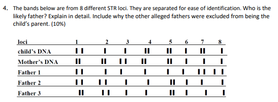 Solved The bands below are from 8 different STR loci. They | Chegg.com