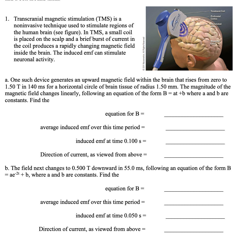 Solved Transcranial magnetic stimulation (TMS) is a | Chegg.com