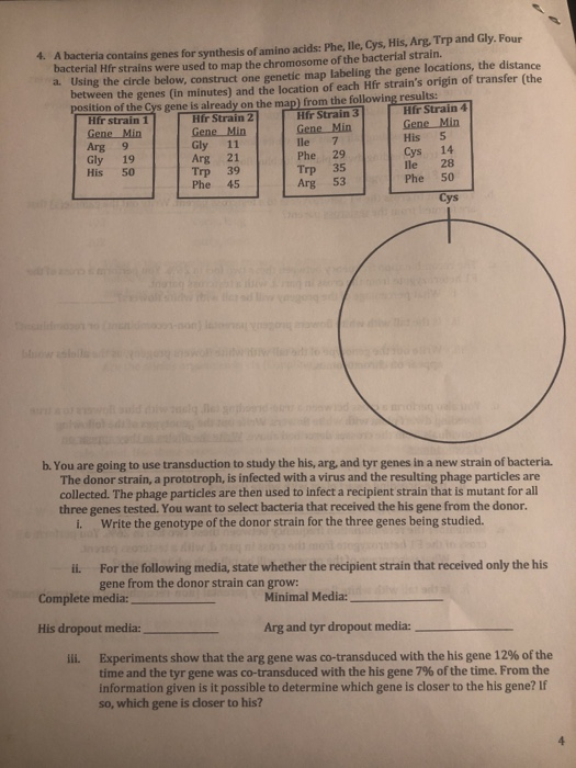 Solved bacterial Hfr strains were used to map the chromosome | Chegg.com