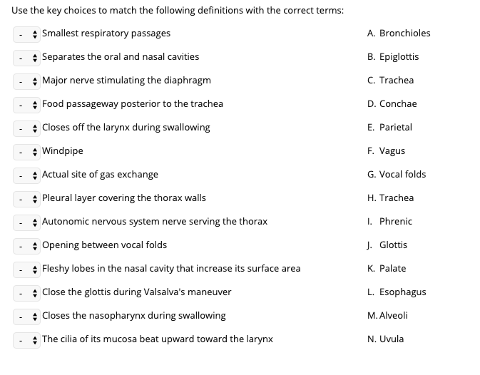 Solved Use the key choices to match the following | Chegg.com