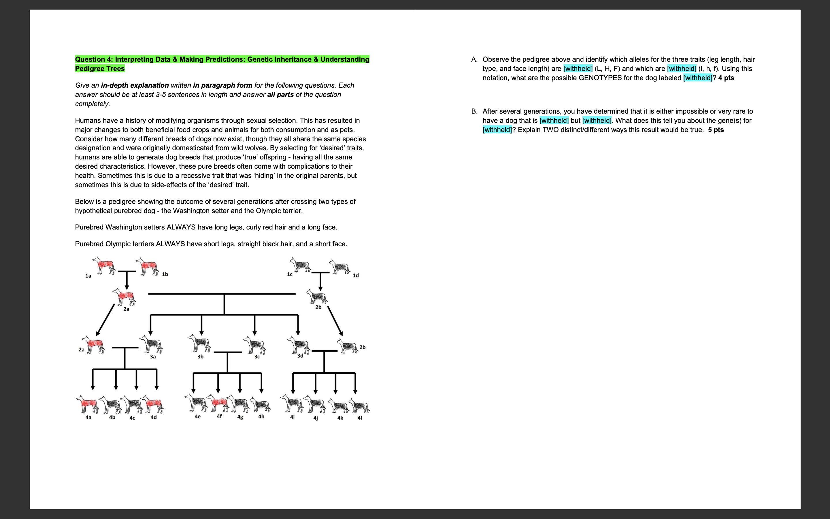 Solved Question 4: Interpreting Data \& Making Predictions: | Chegg.com