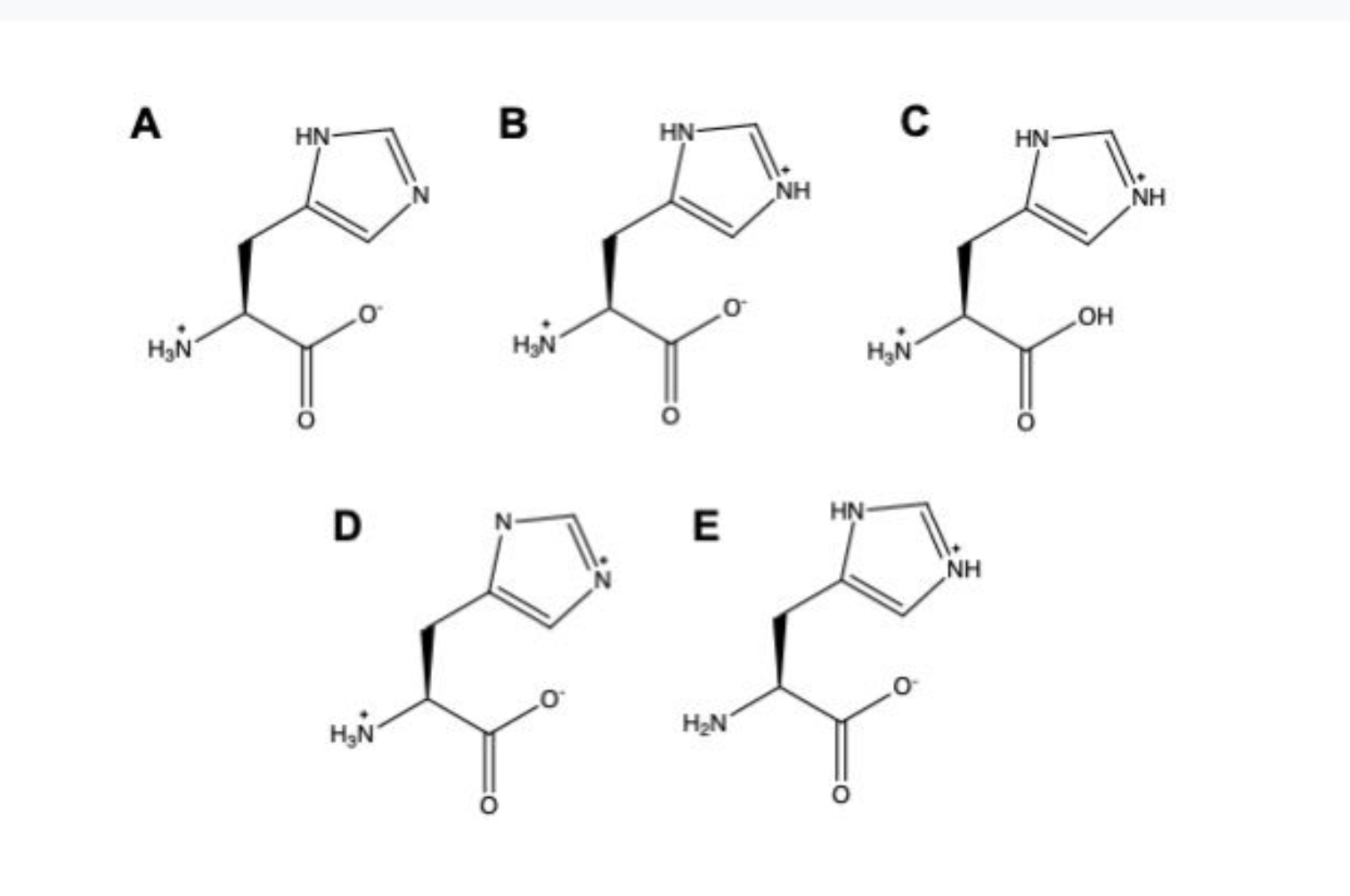 Solved 1.What is the net charge of asparagine at pH =2? 2. | Chegg.com