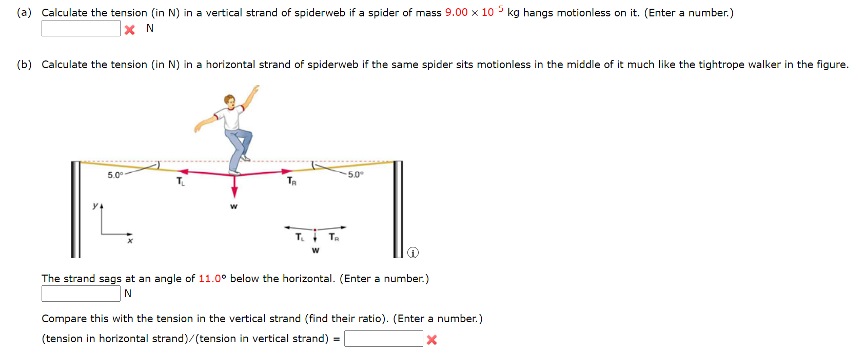 Solved (a) Calculate the tension (in N) in a vertical strand | Chegg.com
