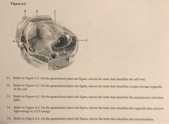 Solved Figure 4-2 31. Refer to Figure 4-2. On the | Chegg.com