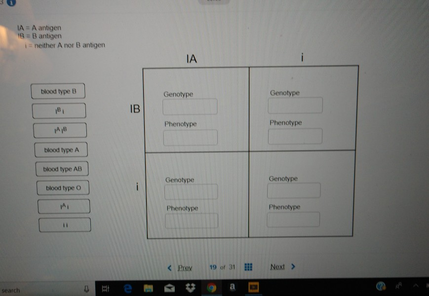 Solved Place the labels in the appropriate blanks to | Chegg.com