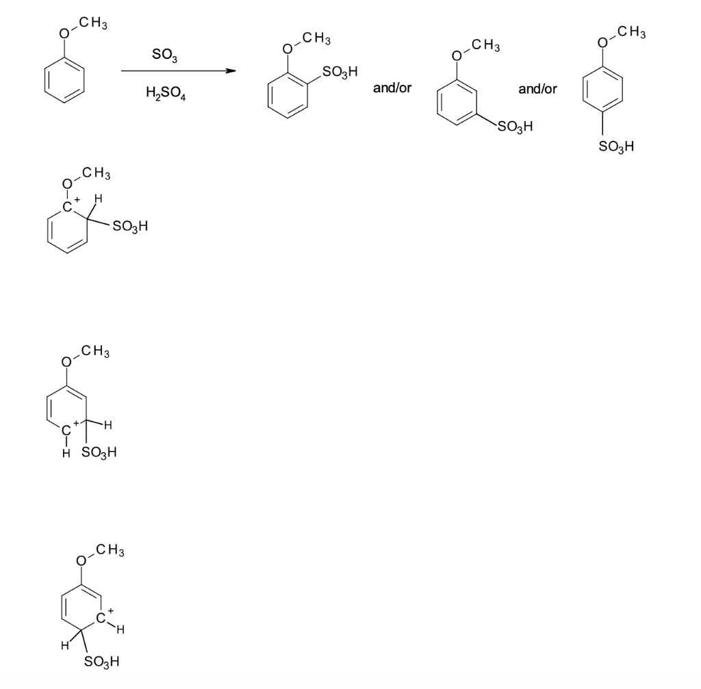 Solved CH3 CH3 CH3 CH3 SO3 - - ست SO3H and/or H2SO4 and/or | Chegg.com