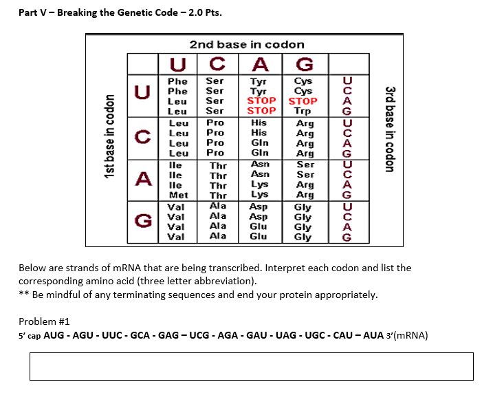 Solved Part V-Breaking the Genetic Code - 2.0 Pts. כ Cys A G | Chegg.com