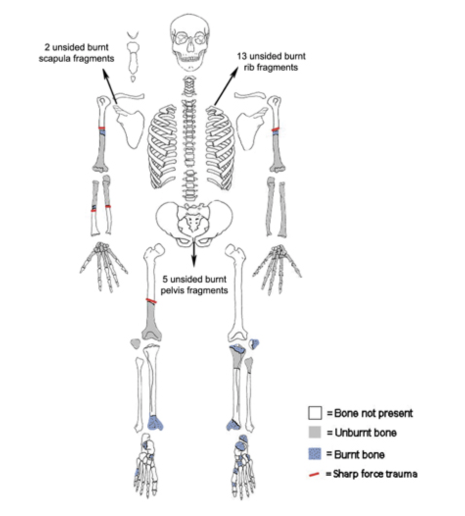 Solved Human ActivityCase Scenario. A young man’s family has | Chegg.com