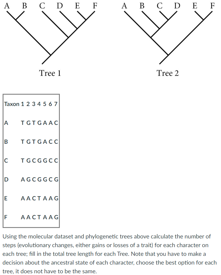 Using the molecular dataset and phylogenetic trees | Chegg.com