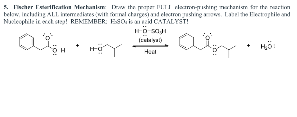 Solved 5. Fischer Esterification Mechanism Draw the proper | Chegg.com