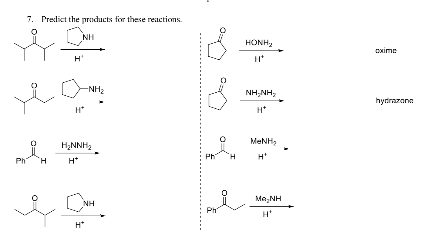 Solved 7. Predict the products for these reactions. NH HONH2 | Chegg.com