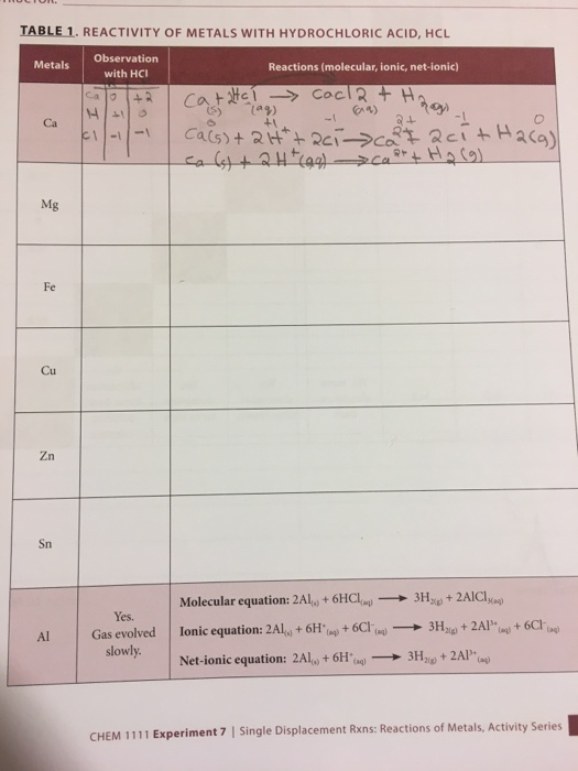 Solved TABLE 1. REACTIVITY OF METALS WITH HYDROCHLORIC ACID, | Chegg.com