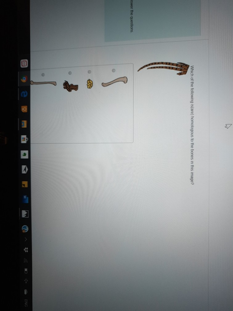 Solved Chapter 22 - Darwin & Evolution Building Vocabulary: | Chegg.com