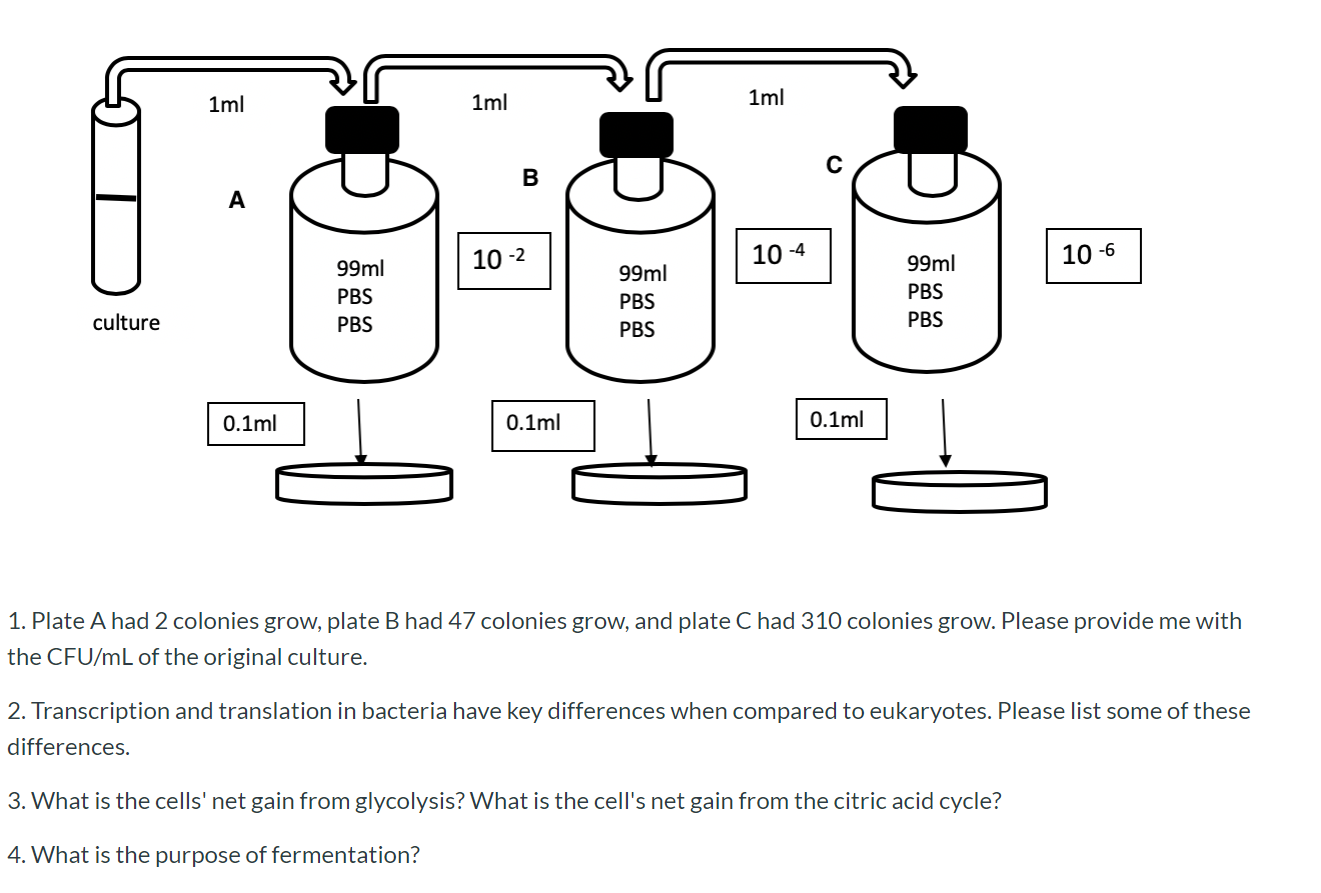 Solved 1ml 1ml 1ml C B A 10 -2 10-4 10 -6 99ml PBS PBS 99ml | Chegg.com