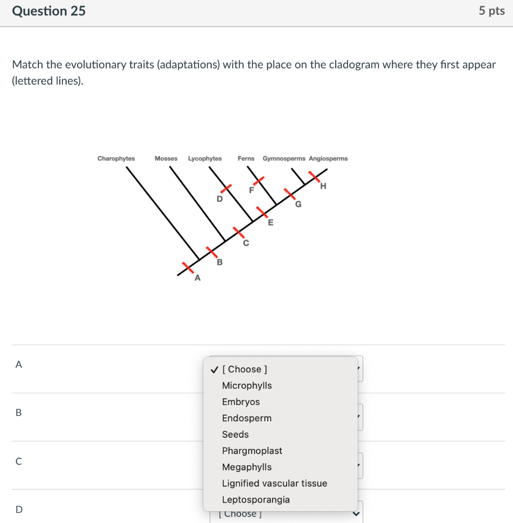 Solved Please fill out the cladogram A-H with the options | Chegg.com