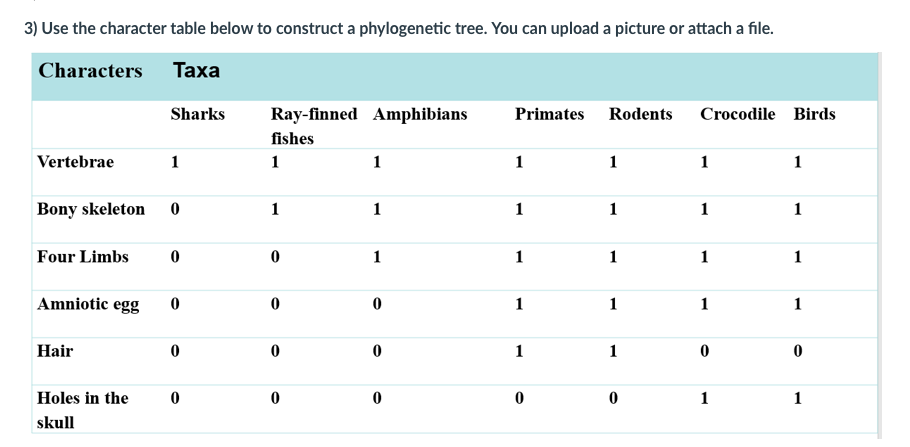 Solved 3) Use the character table below to construct a | Chegg.com