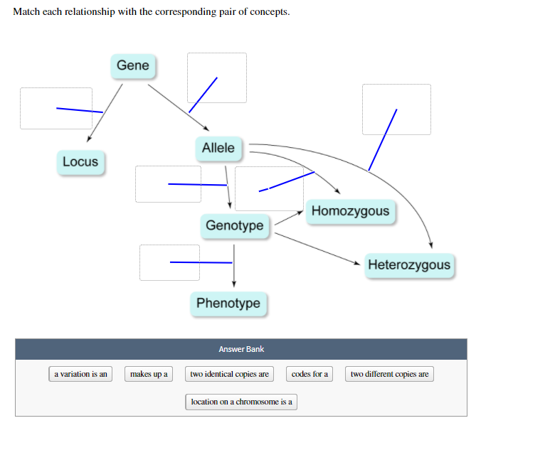 Solved Match each relationship with the corresponding pair | Chegg.com