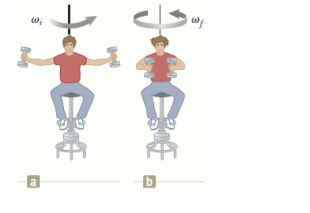 Solved A student sits on a freely rotating stool and holds | Chegg.com