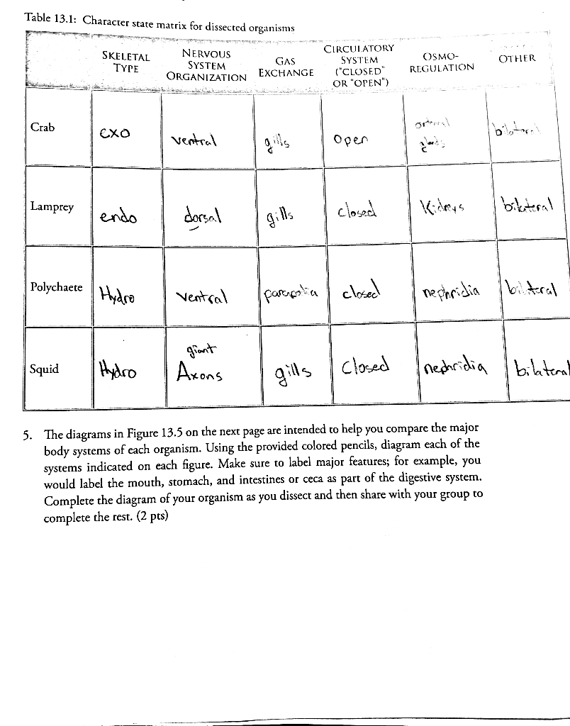 Solved Table 13.1: Character state matrix for dissected | Chegg.com